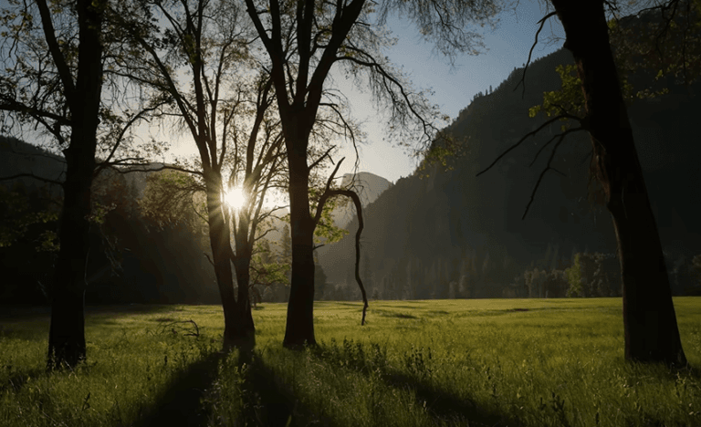 Overtourism in Yosemite National Park: Environmental, Social, and ...